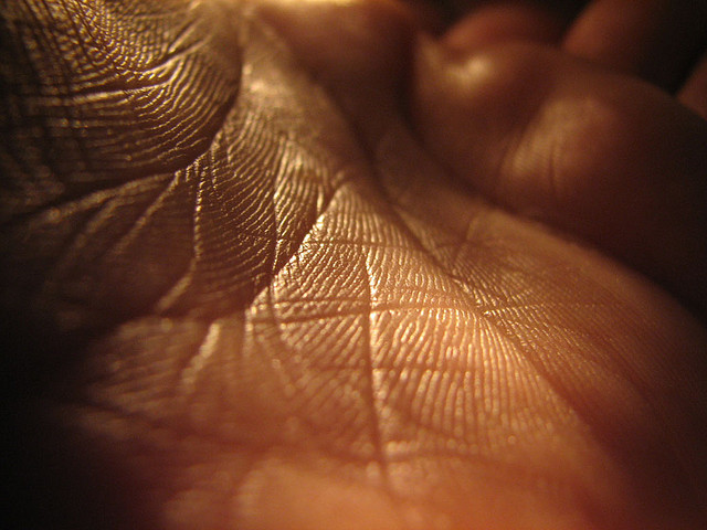 Right Palm – Sarah Pascarella | Writer