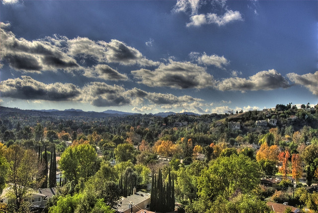 Same as it Ever Was: T.C. Boyle’s The Tortilla Curtain – Sarah ...